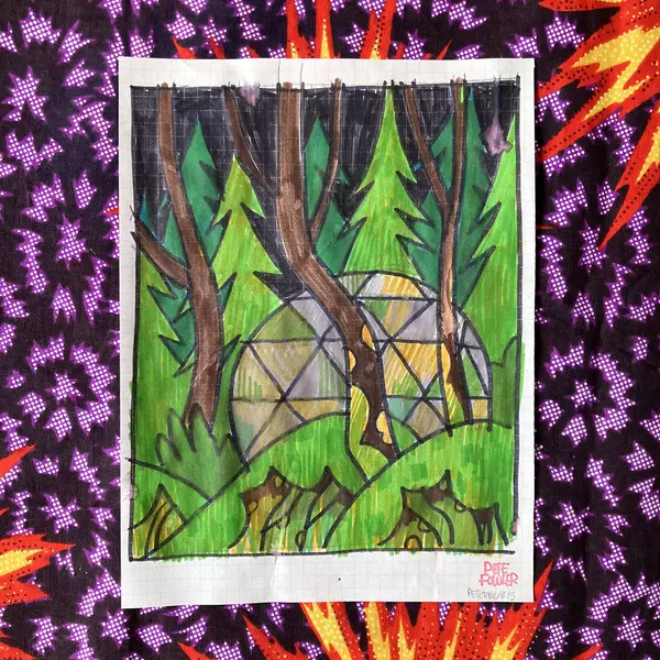 Geodesic Dome Forest drawing - Pete Fowler Shop